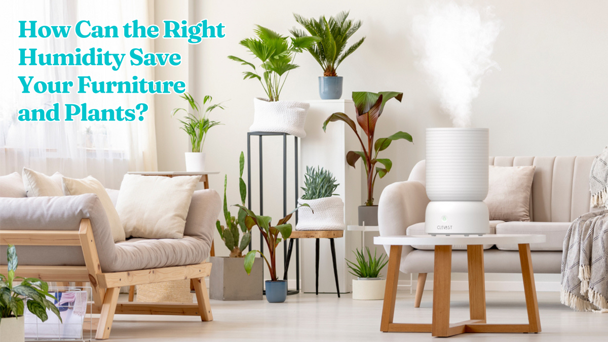 How Can the Right Humidity Save Your Furniture and Plants? – CLEVAST