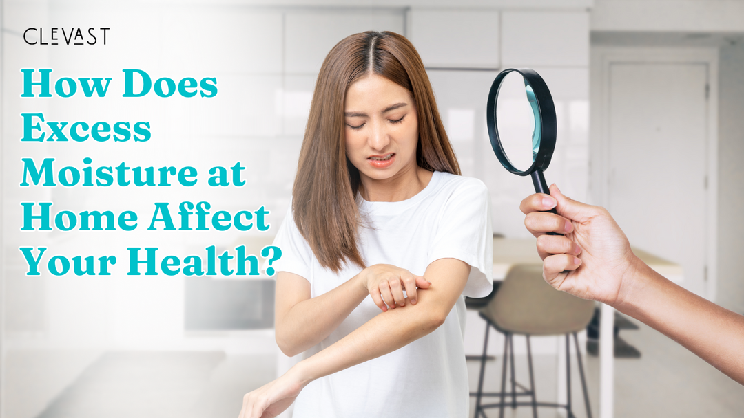 How Excess Moisture at Home Impacts Your Health – CLEVAST