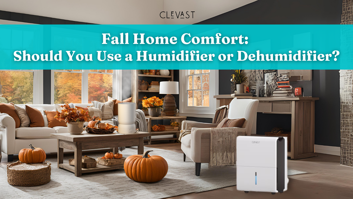 Fall Home Comfort: Should You Use a Humidifier or Dehumidifier? – CLEVAST