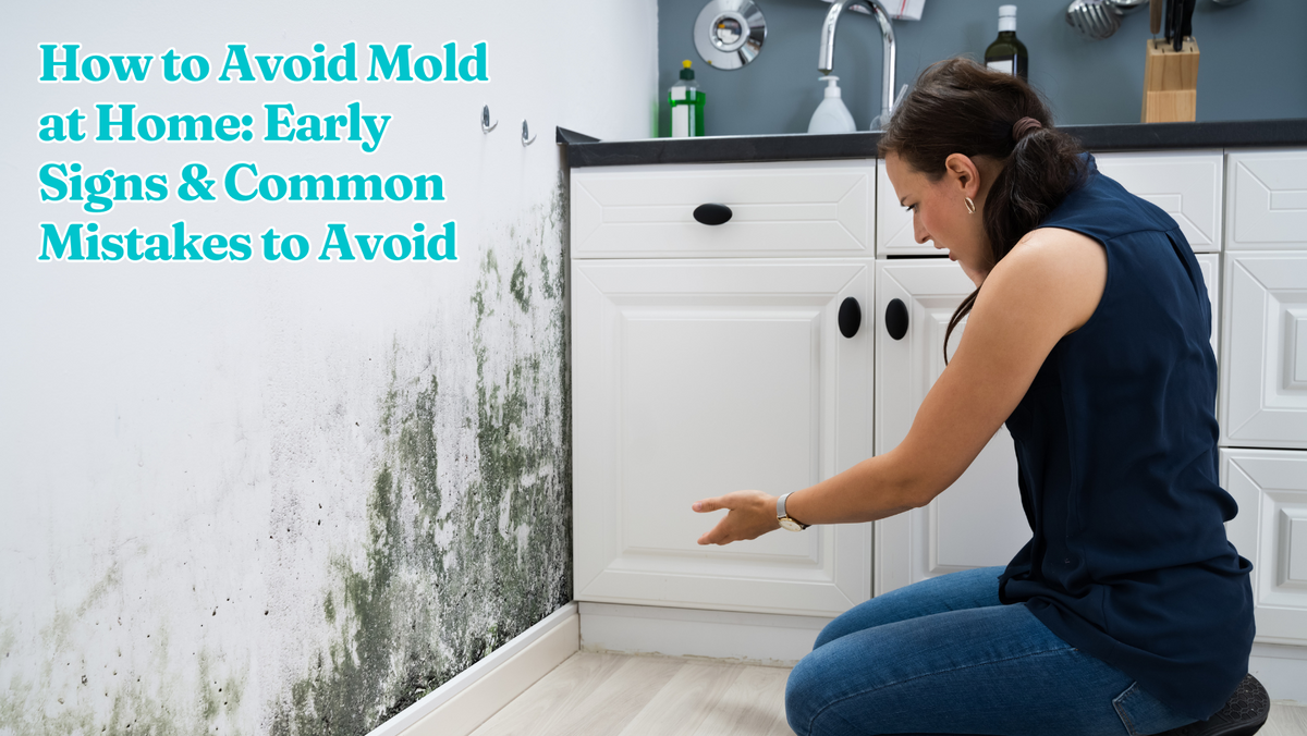 How to Avoid Mold at Home: Early Signs & Common Mistakes to Avoid – CLEVAST