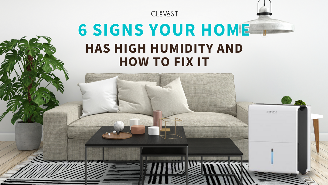 6 Signs Your Home Has High Humidity and How to Fix It – CLEVAST